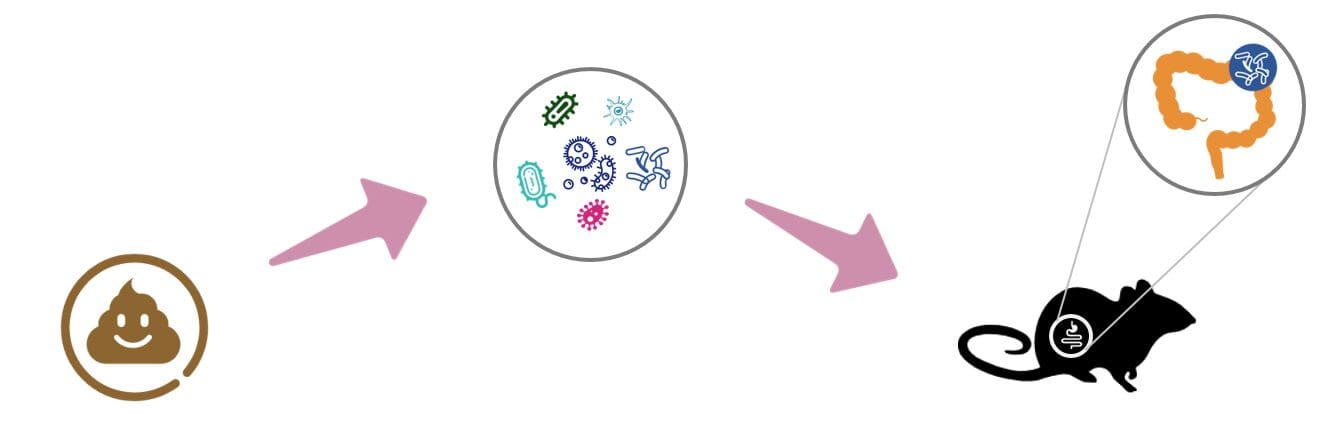 Creative BioMart Microbe Provides Microbiotherapy Research Technical ...