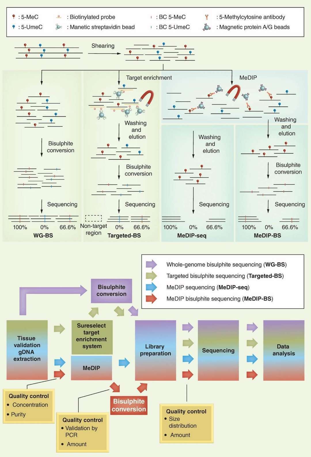 Epigenomics: Opening the Black Box of Cancer - Labinsights