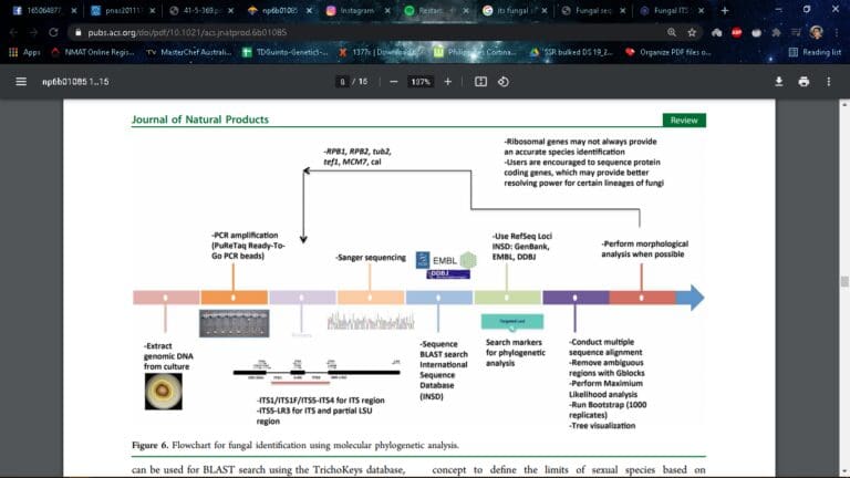 Fungal Identification by Sequencing: LSU, SSU, and ITS Regions ...