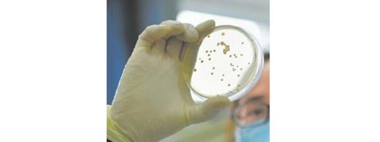 Bioburden and Sterility Testing for Medical Devices - Labinsights