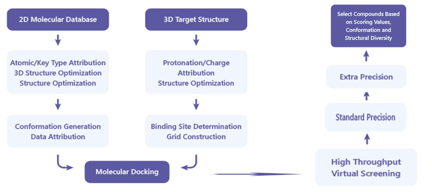 The Power of Computational Biology with Innovative Virtual Screening ...