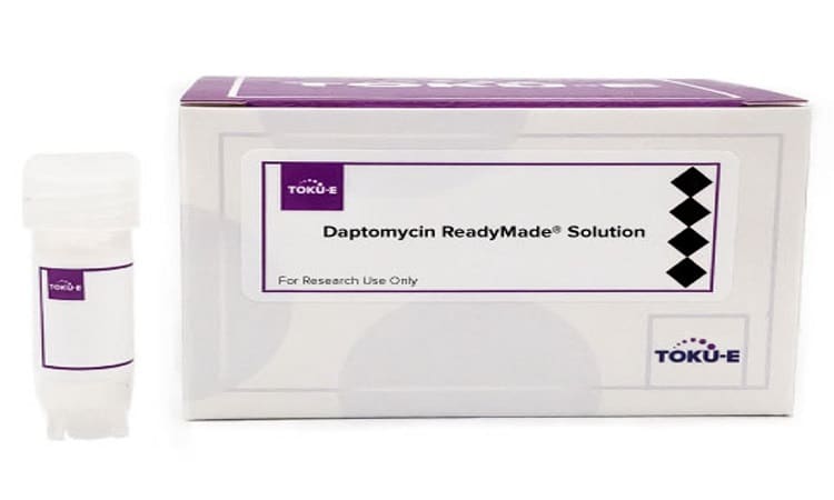 Daptomycin ReadyMade Solution to Power Up Spectrum and Microbiology ...