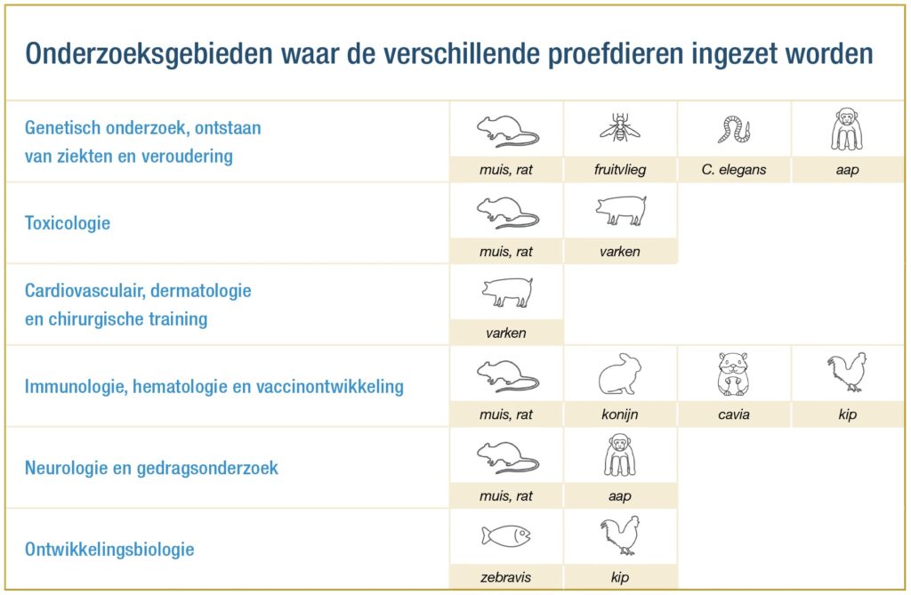 Van dierproeven naar ‘New Approach Methods’ - Labinsights