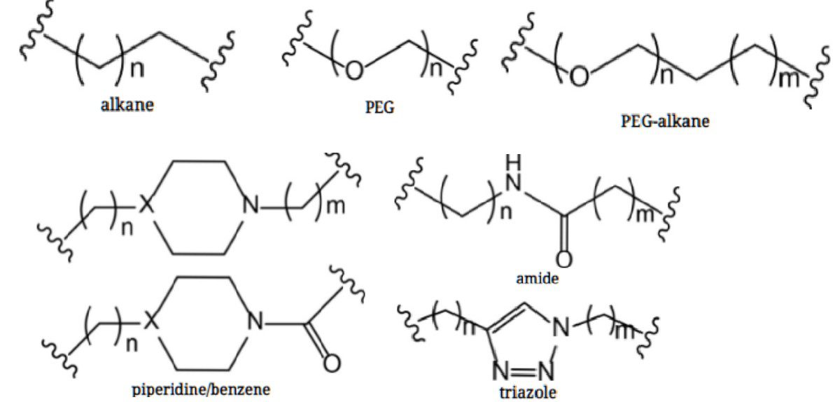 PROTAC Technology: Modular Construction of Drug Molecules - Labinsights