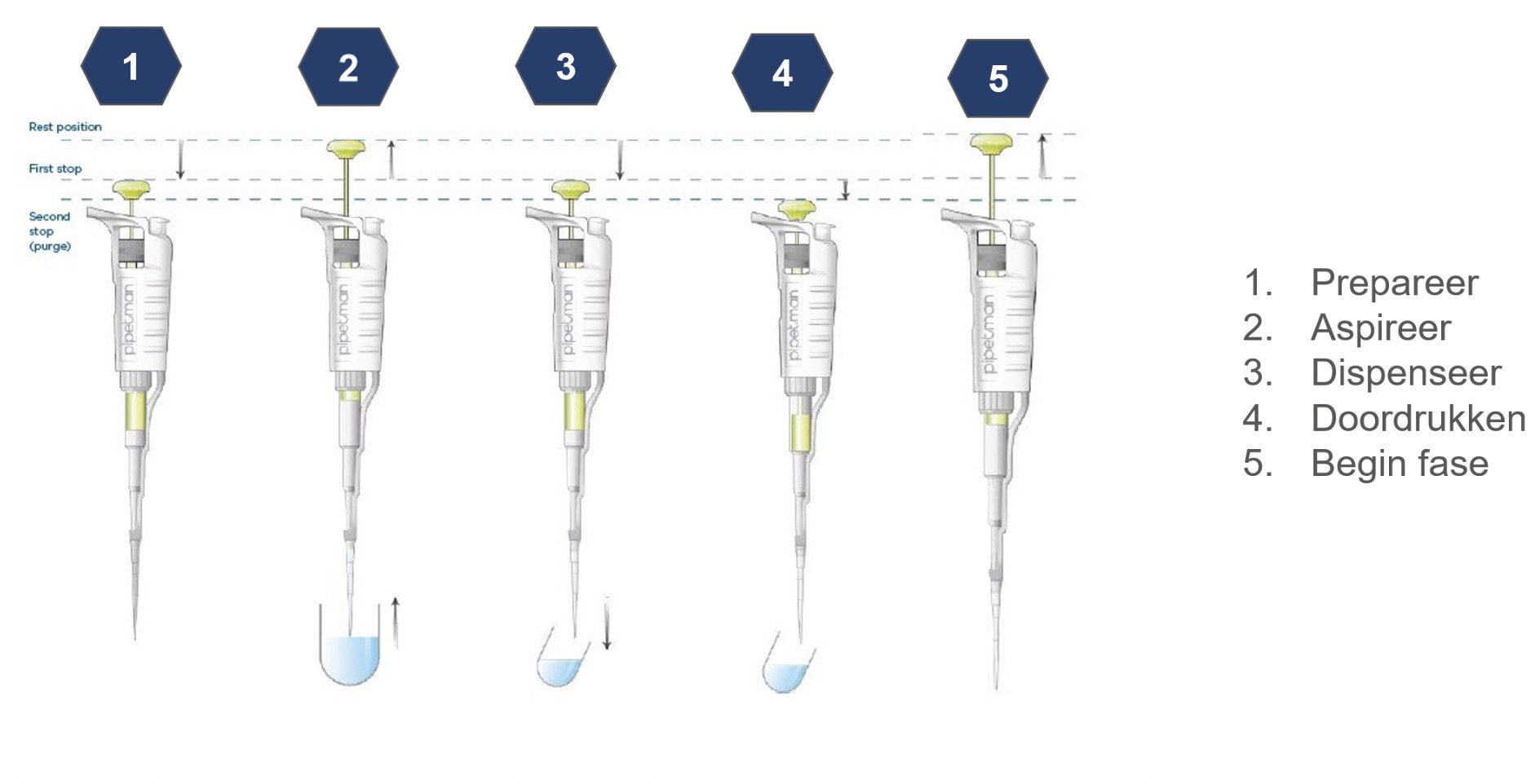 Pipetteren: haal alles uit je laboratorium pipet met deze tips ...